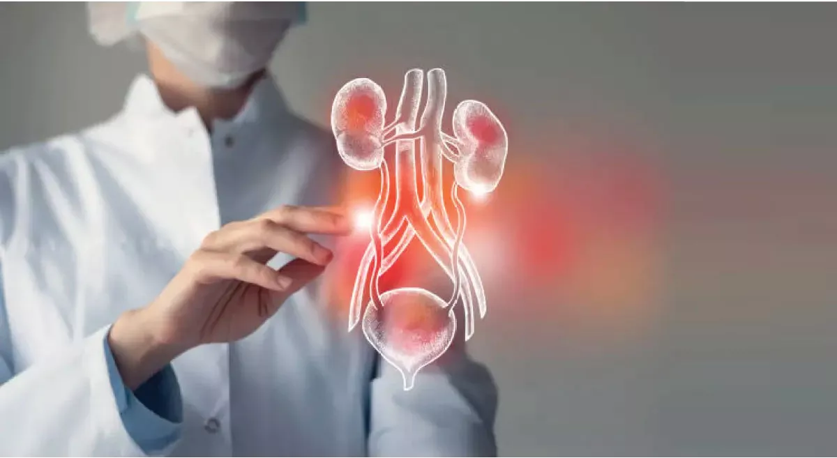 UTI Symptoms, Causes, and Treatment: A Complete Guide | Aster